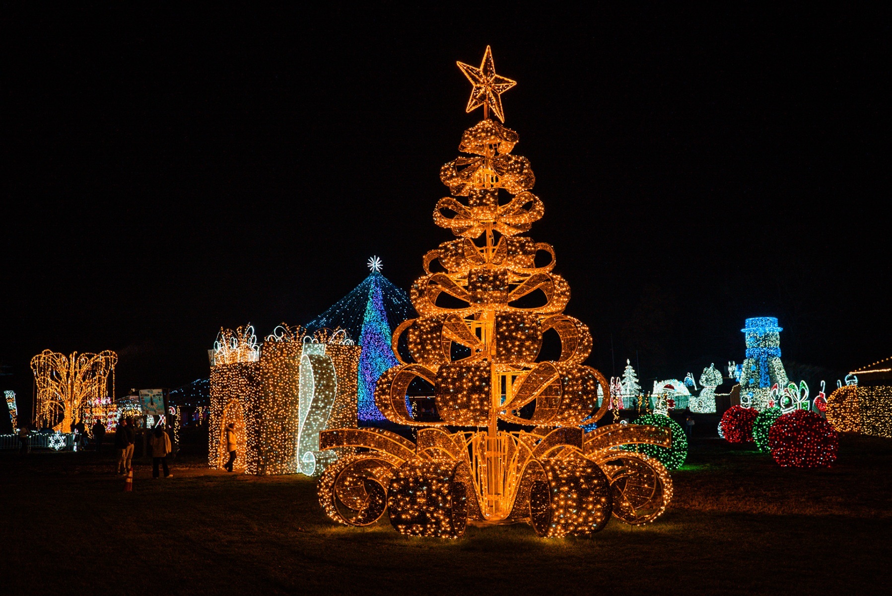 Winter City Lights | Christmas Light Show