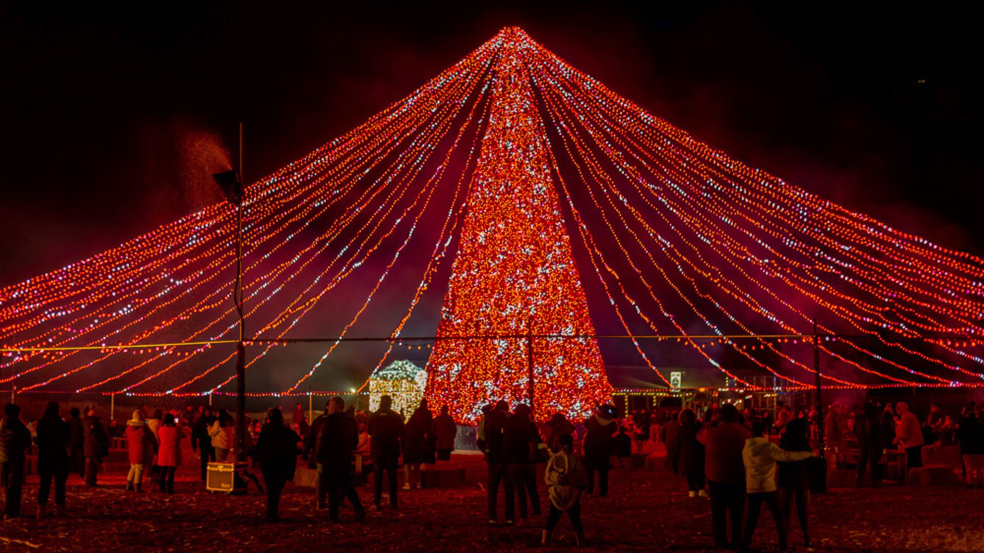 Why Do We Celebrate the Holidays with Christmas Lights? - WestXDC